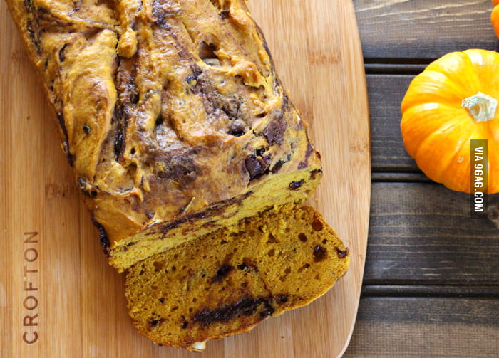 Pumpkin Chocolate Swirl Bread - 9GAG