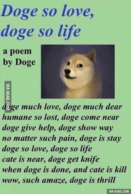 Wow doge much best shrek such nob - 9GAG