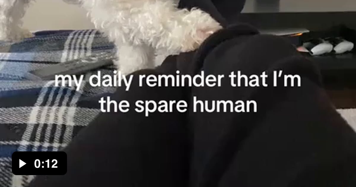 Accepting your role as the spare human is the final stage of grief 😂 - 9GAG