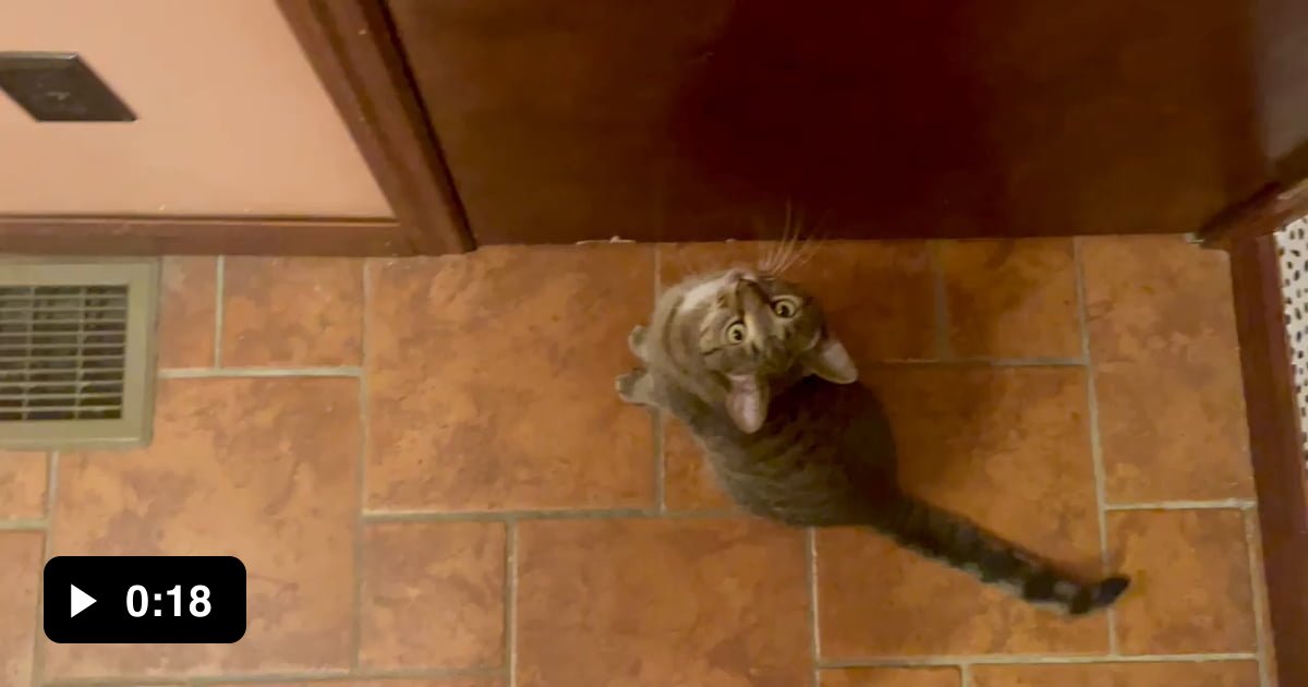 “This door displeases me. Remove it.” - Penny - 9GAG