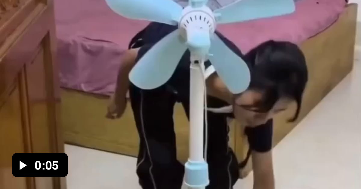 Ventilatron, Your biggest fan - 9GAG