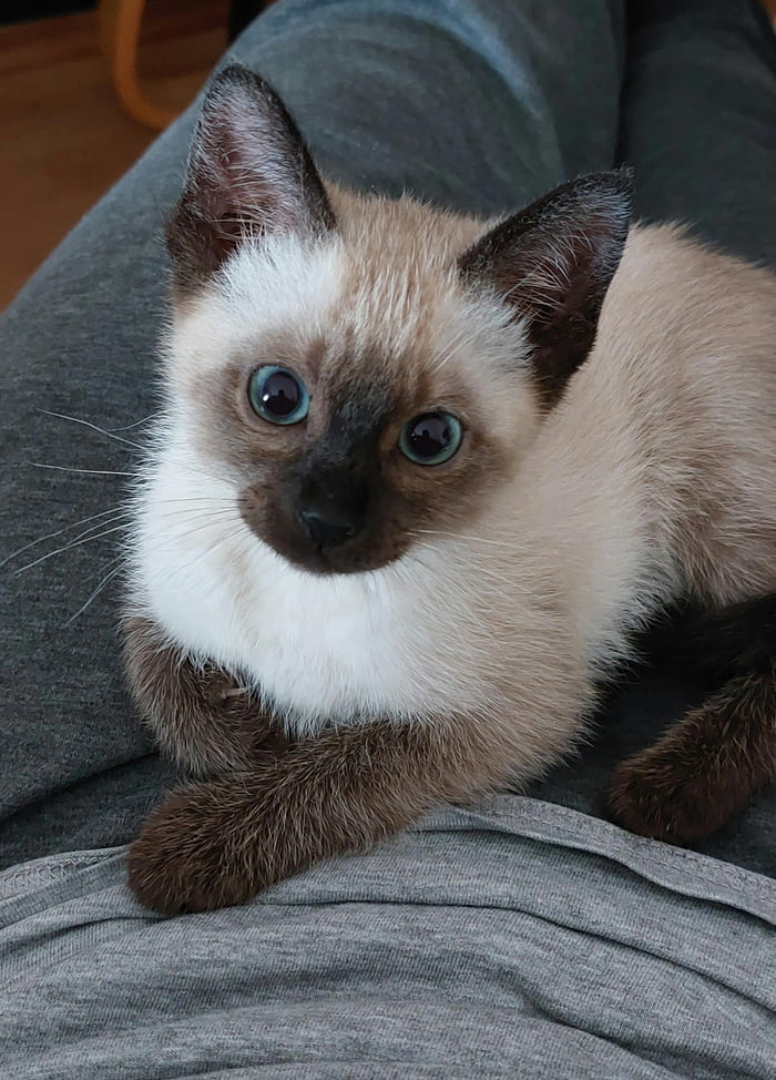 She's a little troublemaker - 9GAG