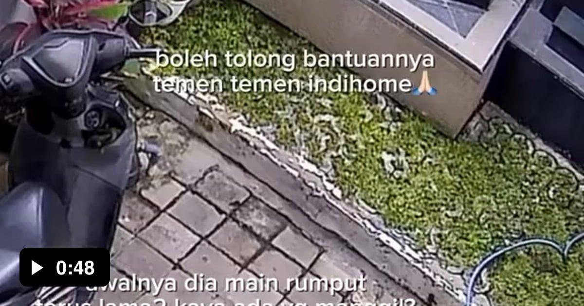 Dipegang dewa sapi - 9GAG