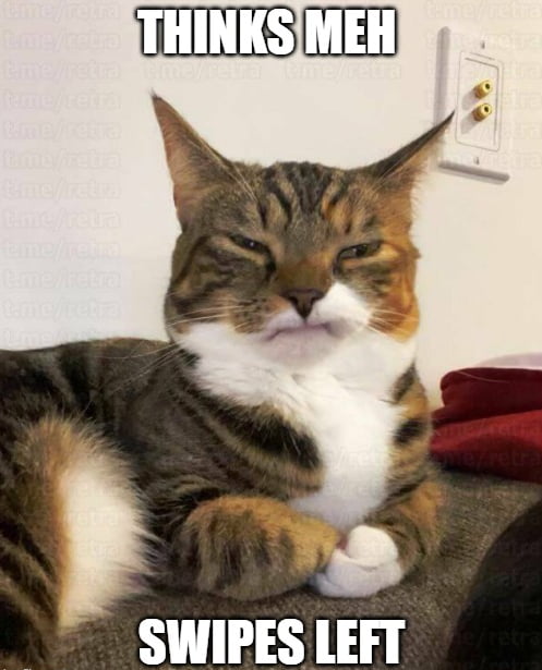 Picky cat - 9GAG