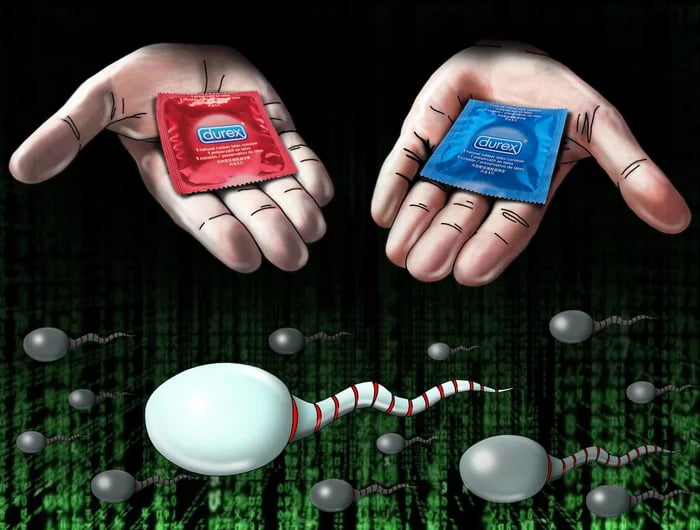 Matrix: the beginning - 9GAG