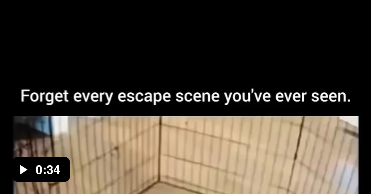Puppy makes Great Escape - 9GAG
