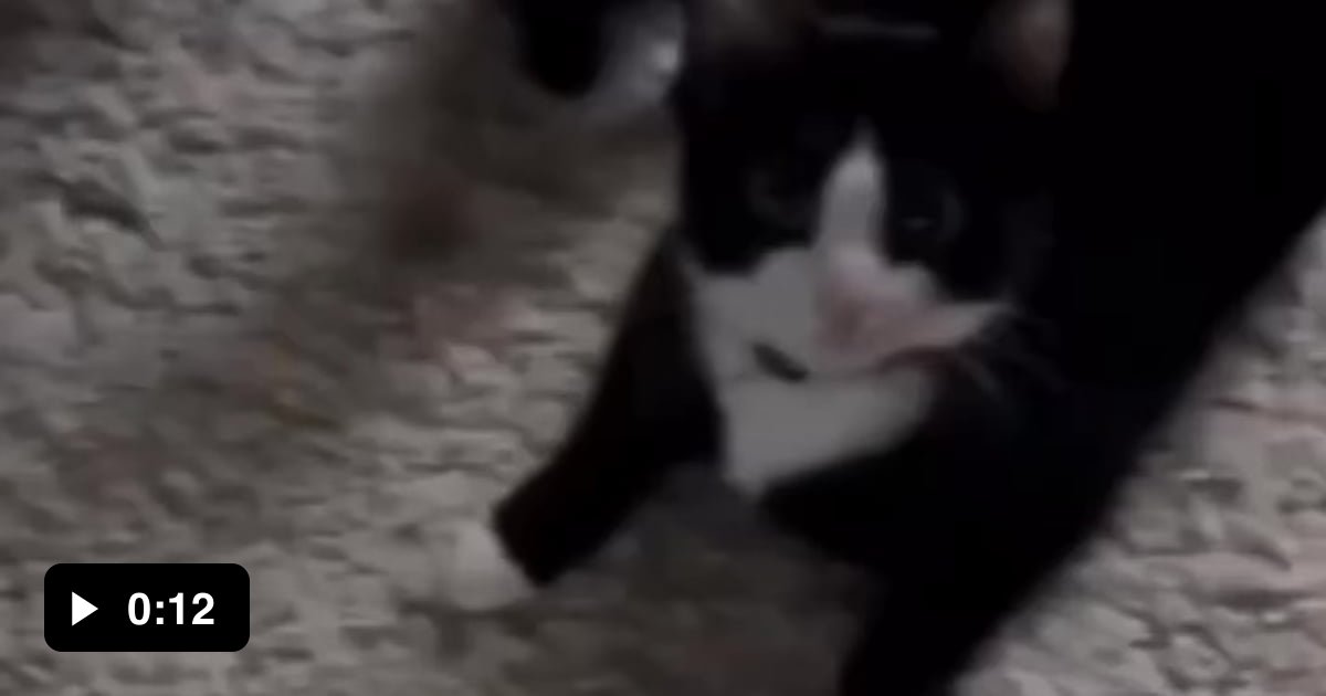 She made a mini void - 9GAG