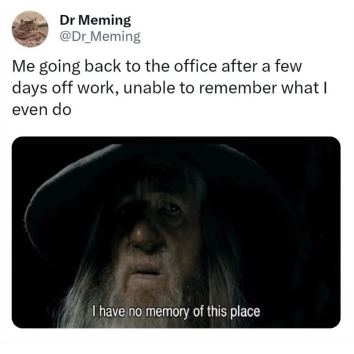 Me after a long weekend trying to remember my job description - 9GAG