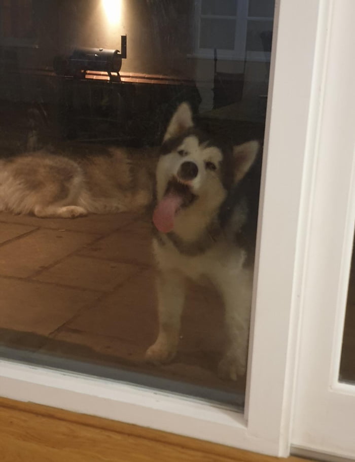 But.Theres.Moar - 9GAG