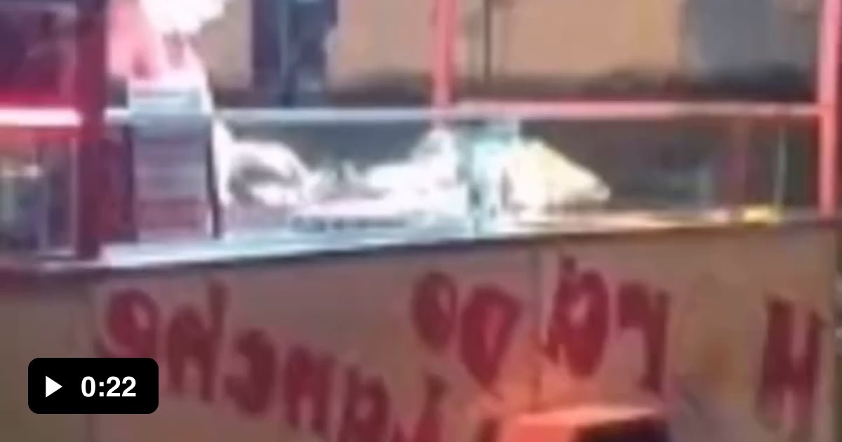 Você tem filé Mion em casa e sai para comer besteira na rua... Não estamos falando em comida 😏🫳 ...