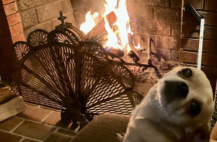 Jack, Let’s go Outside! - 9GAG