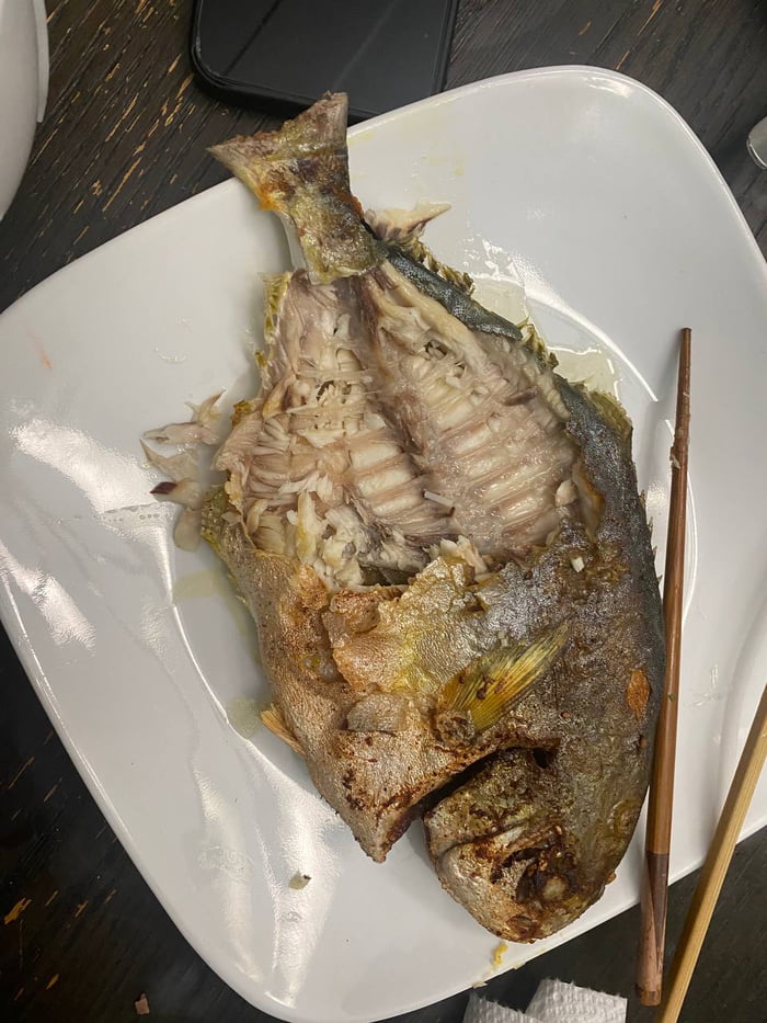 Anyone know what fish is this? - 9GAG