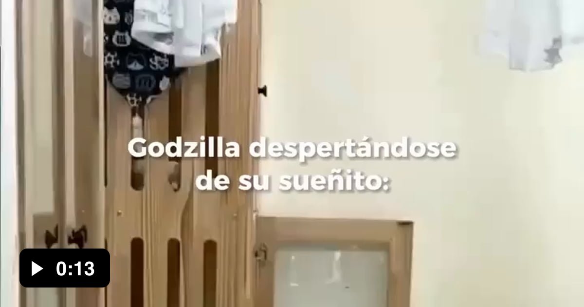 Godzilla catzilla #cats - 9GAG