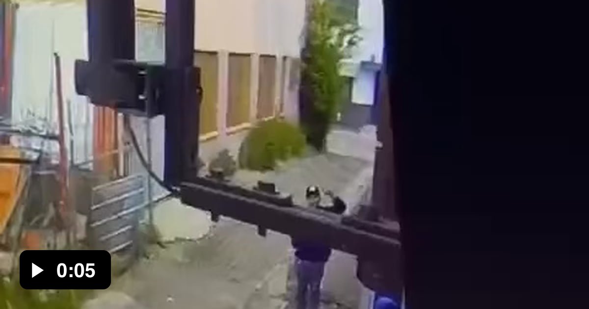 Cat Making Machine - 9GAG