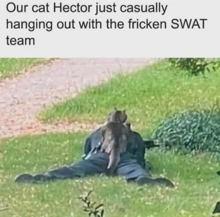 This cat is part of the SWAT team - 9GAG