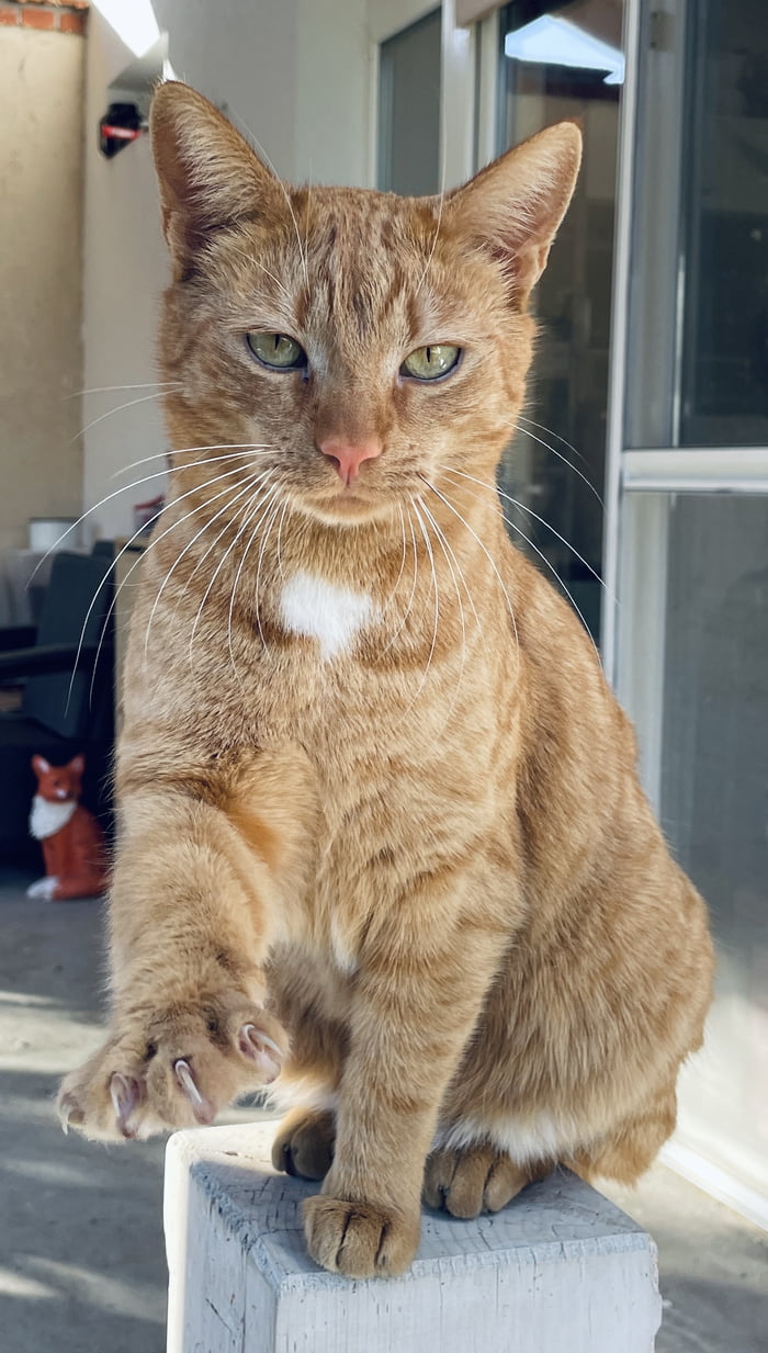 Title and claws - 9GAG