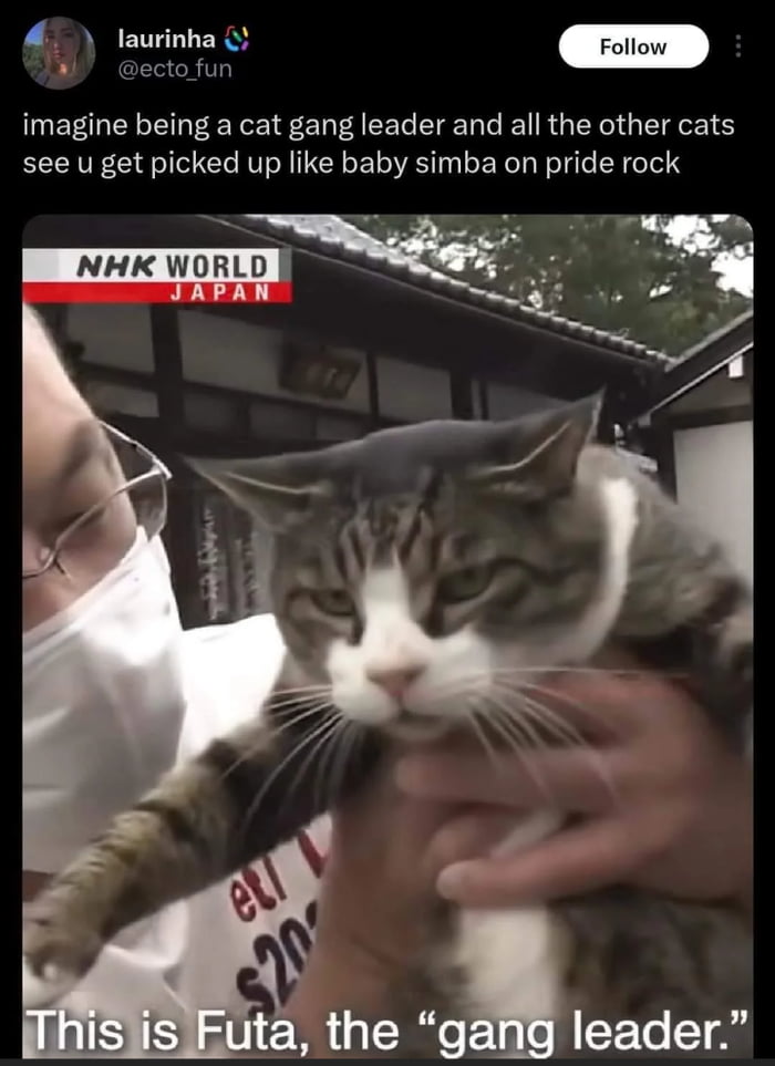 Gang leader Futa - 9GAG