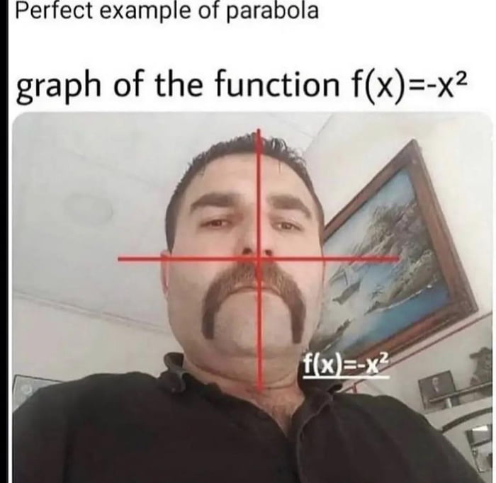 Parabola-Man, the one with the quadratic moustache - 9GAG