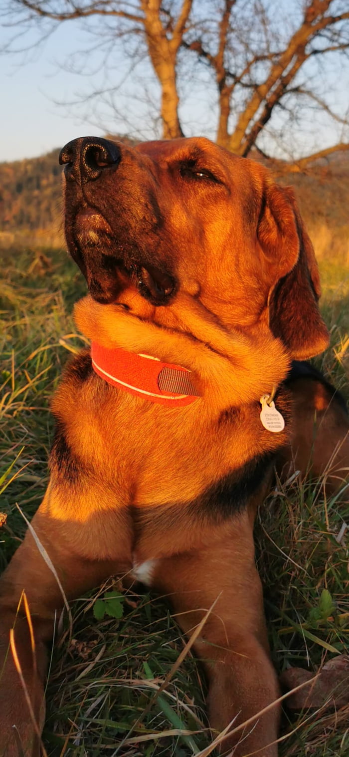 Fuk Ju peasant. - 9GAG