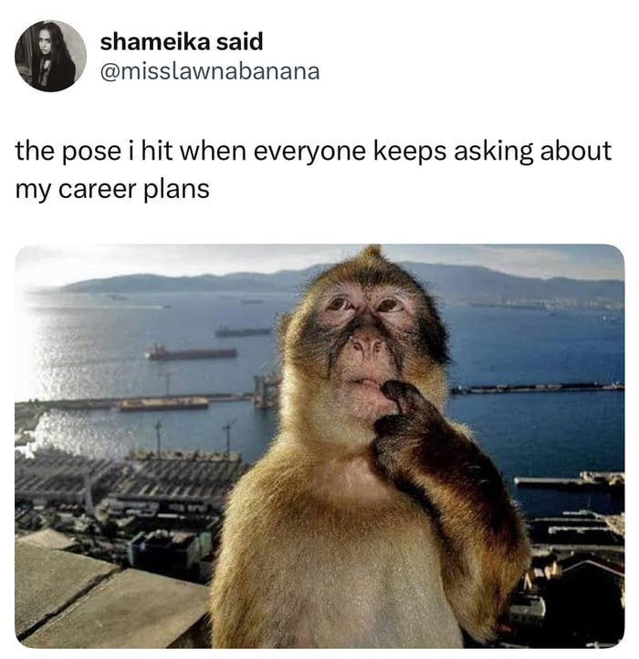 Trying to figure out if i should just become a professional napper - 9GAG