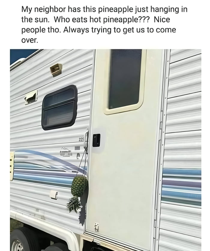 Just a pineapple hanging out - 9GAG