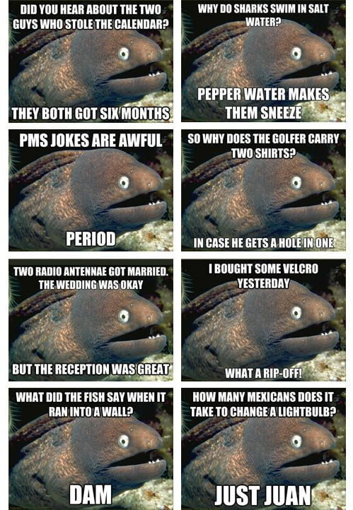 That's a Moray... - 9GAG