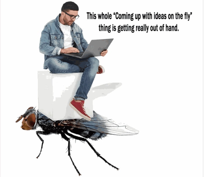 What do you call a fly without wings? A walk. - 9GAG