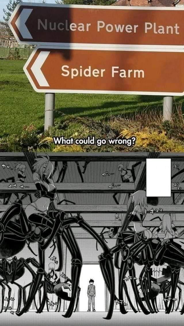 Spider farm 🕸️🕸️🕸️ - 9GAG