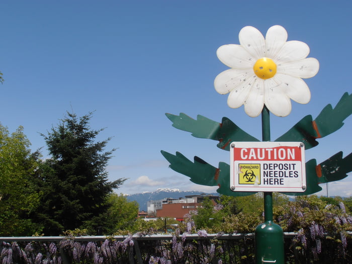 Spring time in beautiful Vancouver - 9GAG