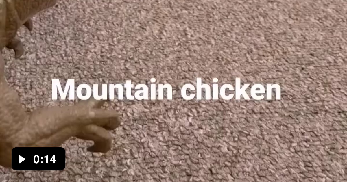Big mountain chicken went wrong - 9GAG