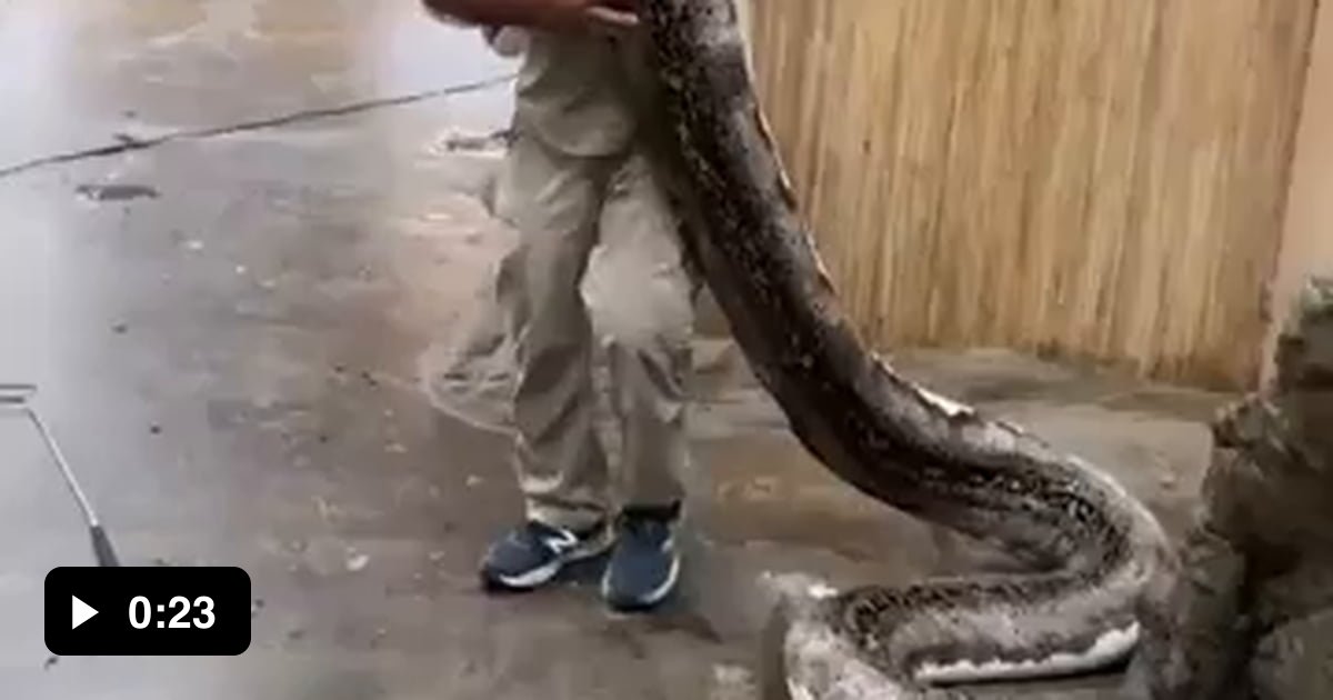 What should be tittle ? How long do you think it will be ? - 9GAG