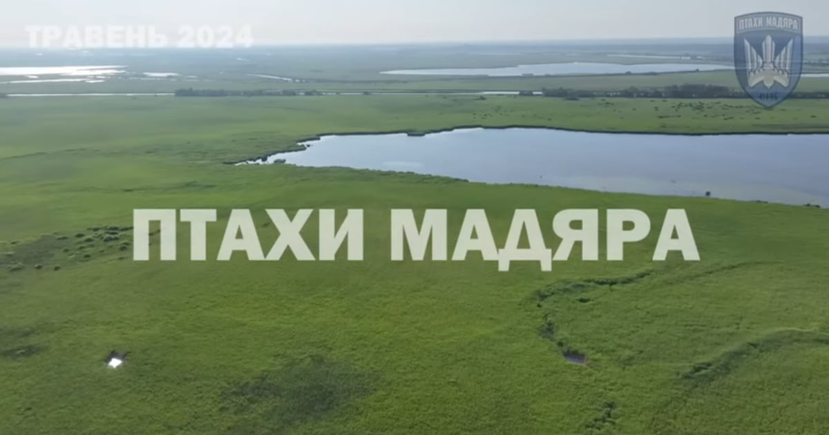 Quality content from the Magyars Birds unit by the link in the comments ...