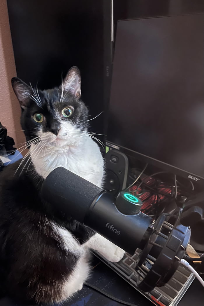 Podcast Kitty 🖤 - 9GAG