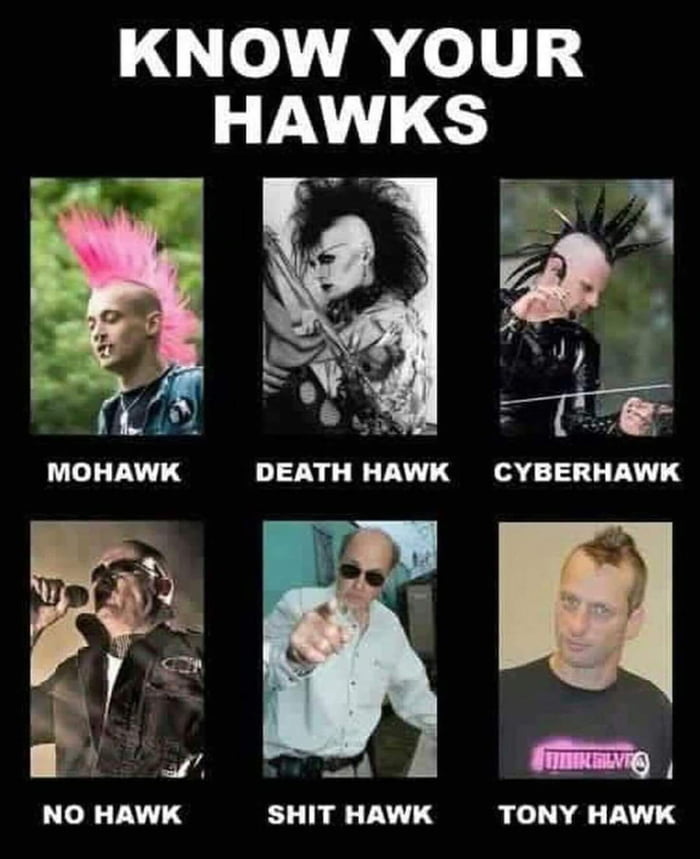 Lets talk about hawks.. - 9GAG