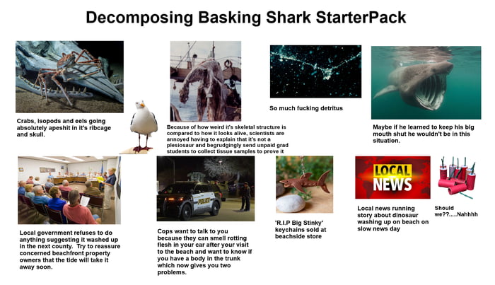 Decomposing Basking Shark StarterPack - 9GAG