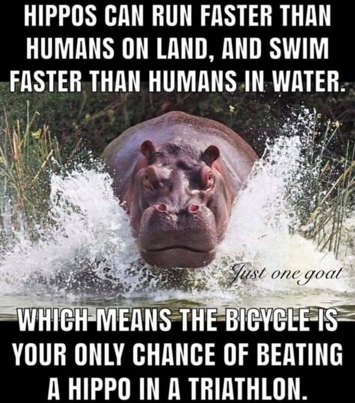 Hippo - 9GAG