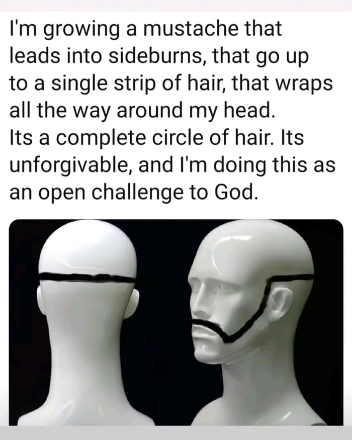 An open challenge to the universe, manifested in questionable facial hair choices. - 9GAG