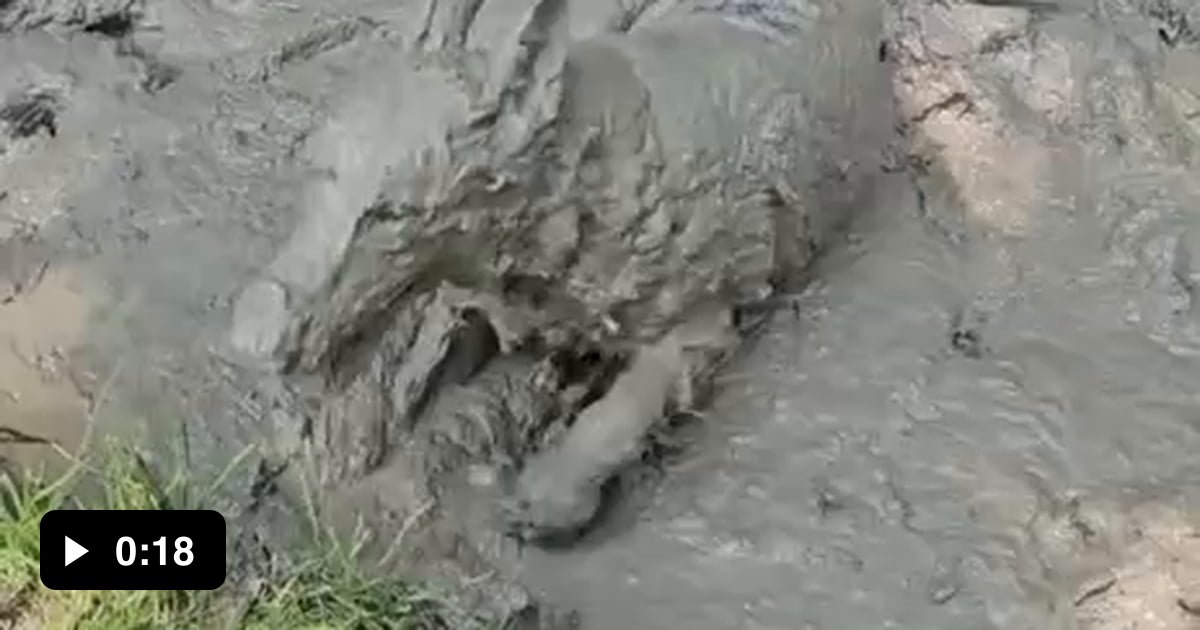 Soo ein Feini - 9GAG