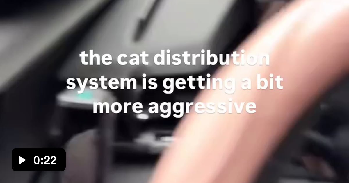 Looks like the cat distribution system is going viral - 9GAG