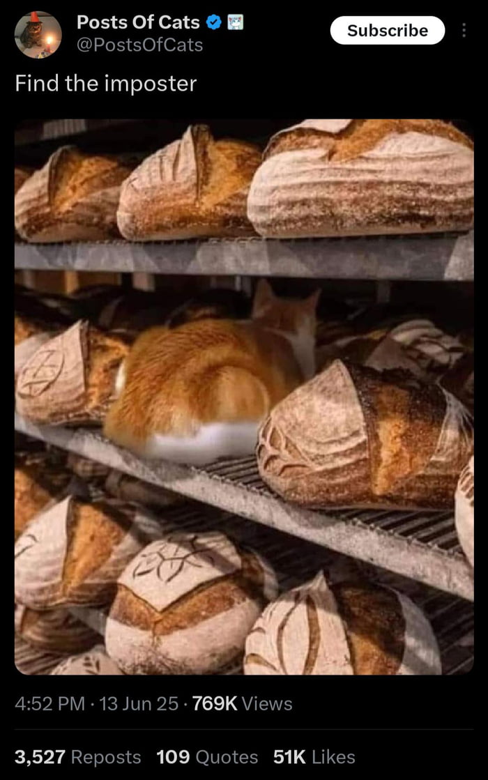 One of these things is not like the others, one of these things is bread. - 9GAG