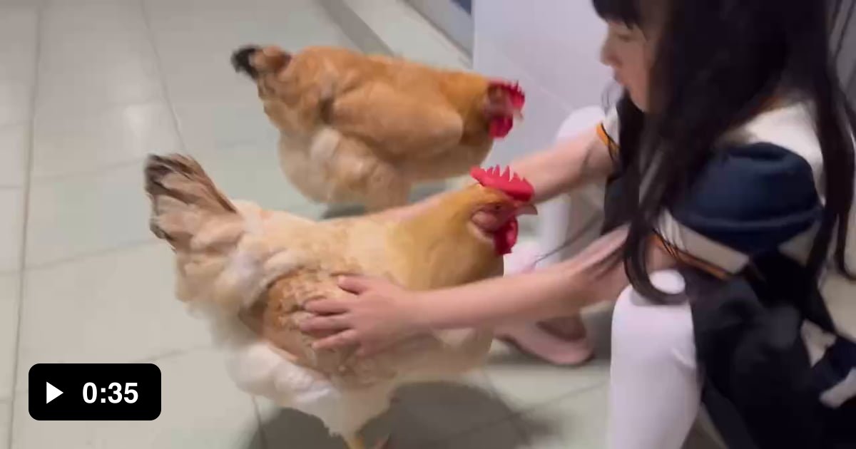 Anyone wants to eat some juicy and tender meat? - 9GAG