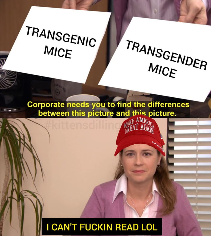 "TrAnsGeNDer mICe" - 9GAG
