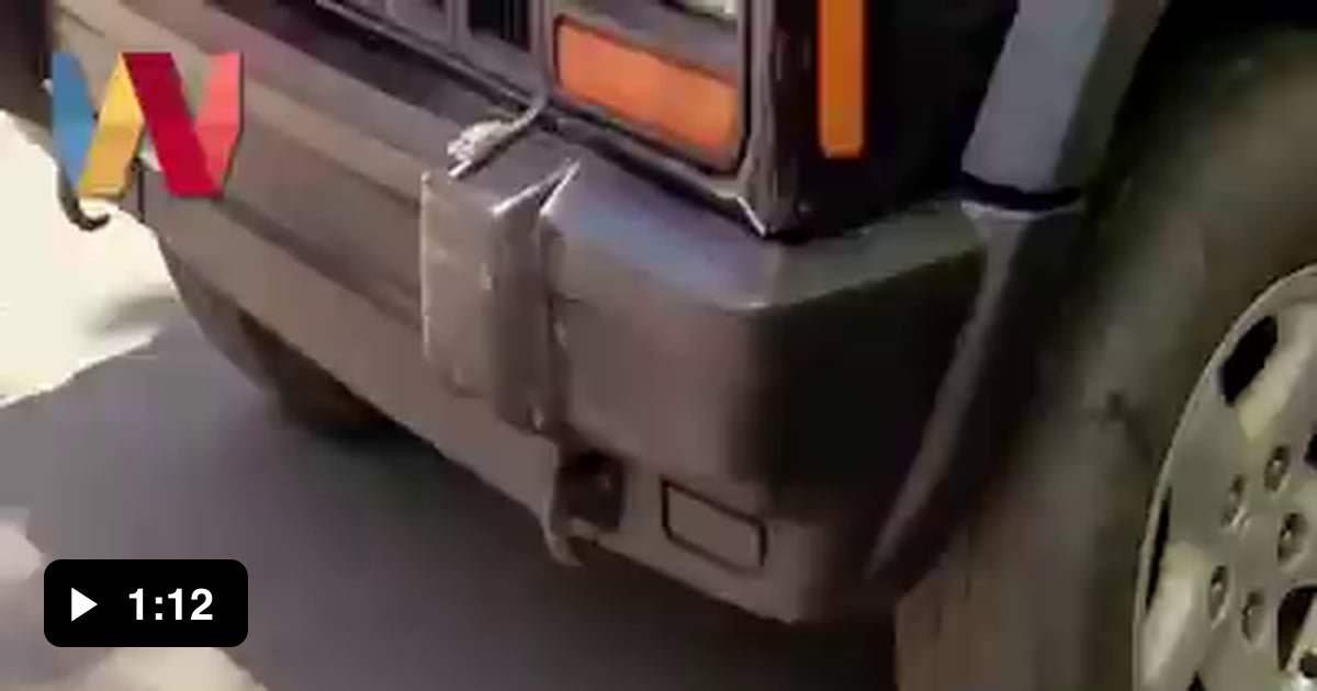 Smart dog drives smart car - 9GAG