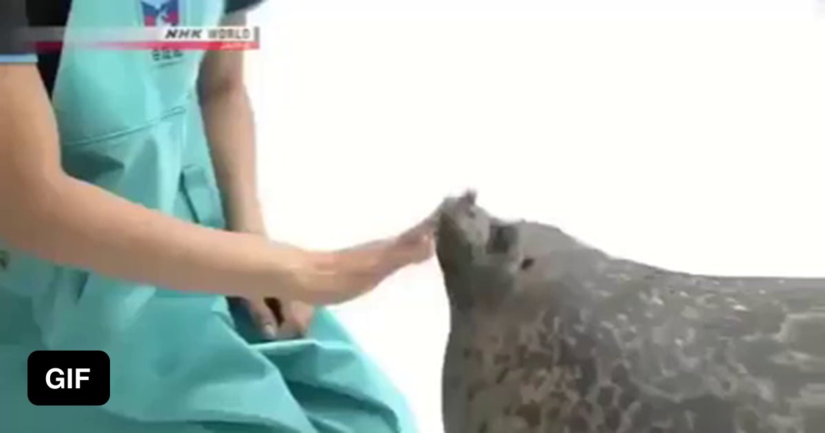 Boop the snoot! - 9GAG