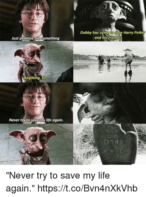 Promise me something dobby, never try to save my life again - 9GAG