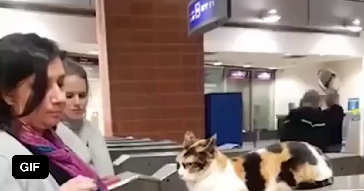 The new security guard. - 9GAG