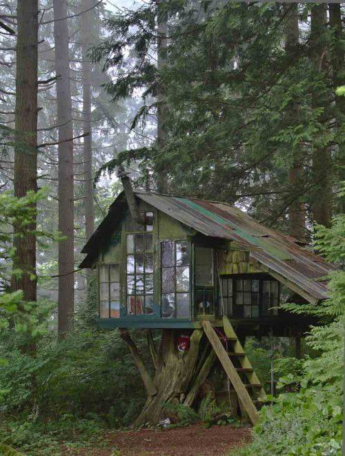 Smallish treehouse with plenty of lighting in the Black Forest, Germany ...