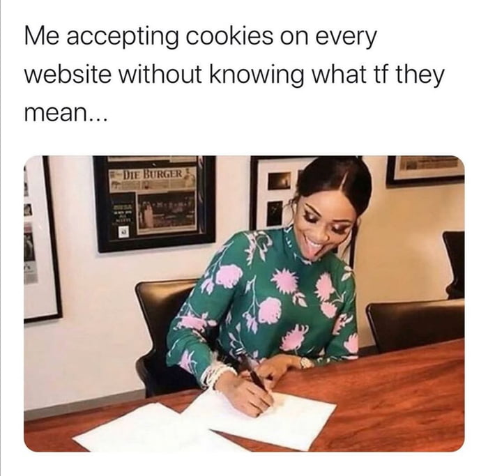 The cookie monster: *you fool* - 9GAG