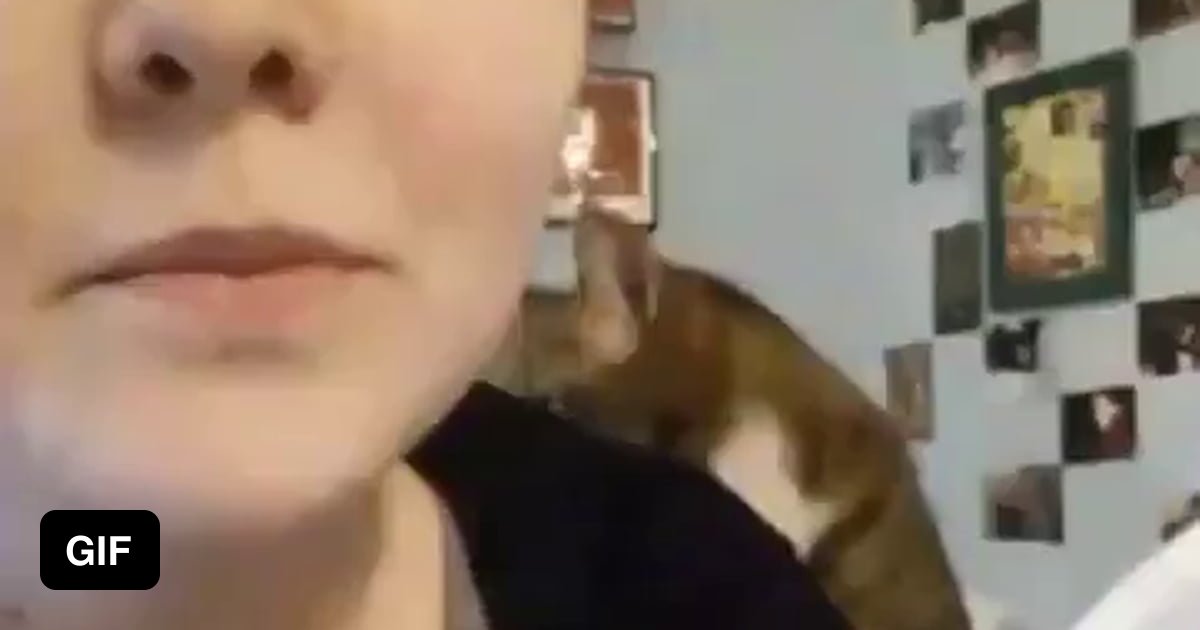 Must Boop The Snoot! - 9GAG