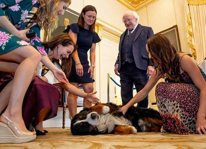 The Irish president love when people pets his dogs. - 9GAG